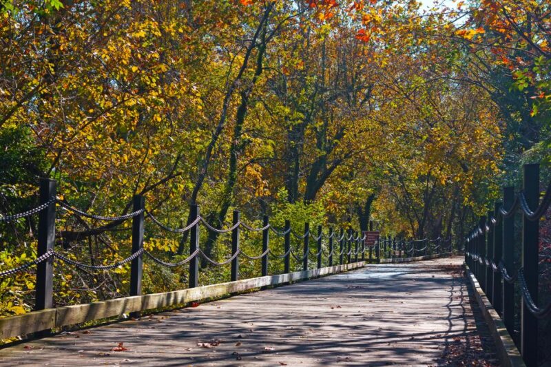 Virginia Capital Trail: Nature/History tour via bike w/ wine - Summary of the Experience