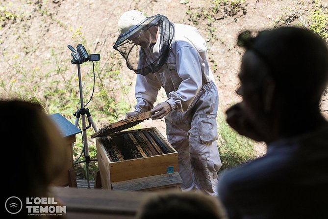 Visit - Immersion in the Heart of the Bee World! - Navigating to the Meeting Point