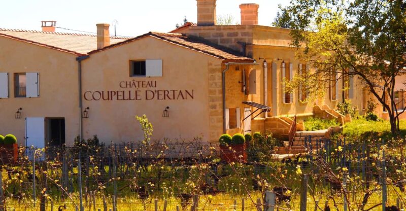 Visit the Artisanal Vinegar Factory of Château Coupelle Dertan - Grape Harvesting, Fermentation, and Aging Techniques