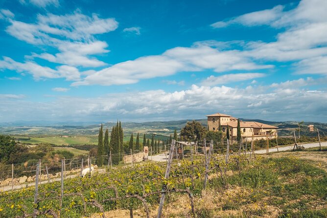 Visit to the Cellar With Wine & Food Tasting Over the Val Dorcia - Vineyard and Winery Exploration