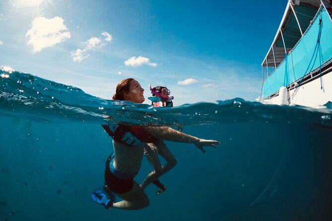 Waikiki Snorkel Tour - The Snorkeling Experience