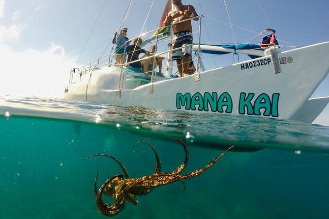 Waikiki Turtle Snorkel & Sail combo on Hawea Catamaran - The value for your money