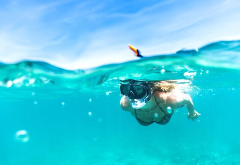 Waikiki: Turtle Snorkeling Cruise with 20ft Jumping Platform - Analyzing the Value: Is it Worth the Price?