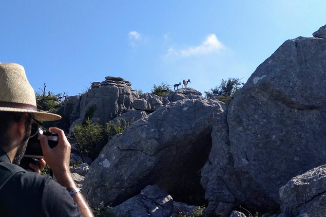 Walking Among Ammonites, El Torcal De Antequera - The Ammonite Experience