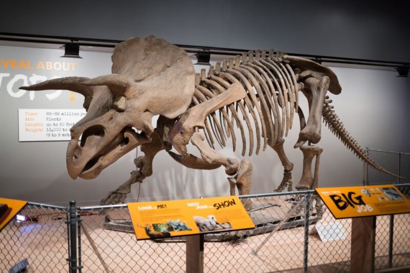 Washington DC: Museum of Natural History Private Guided Tour - The Logistics: What’s Included and What’s Not