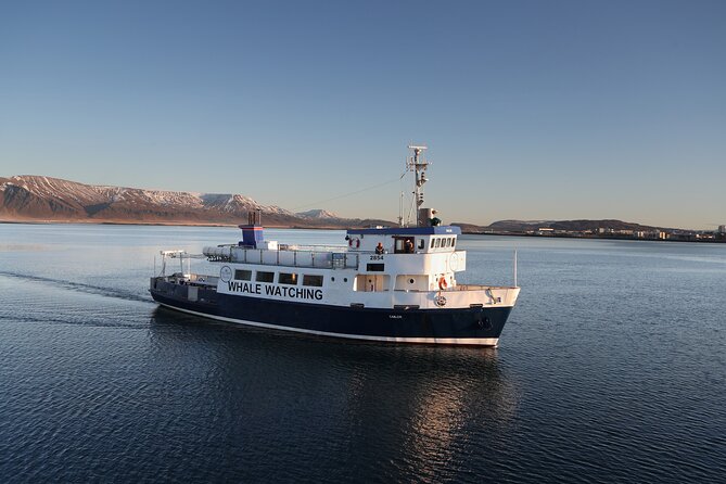 Whale Watching and Marine Life Tour in Reykjavik - Inclusions and Amenities