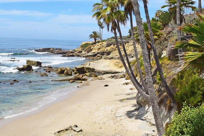 Whale-Watching and Orange County Beaches Tour from Anaheim - A Detailed Look at the Itinerary and What It Means for You