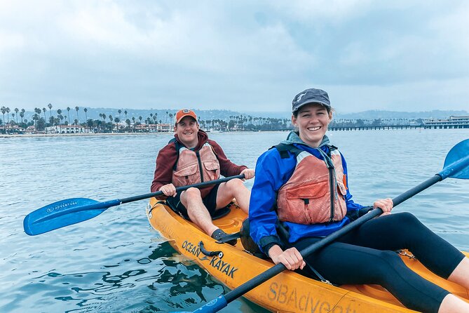 Wildlife Kayak Tour in Santa Barbara Harbor (2 Hours) - Diverse Wildlife Viewing Opportunities
