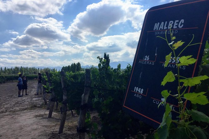 Wine, Beer and Spirits Tour in Small Groups - Meeting and Pickup Information
