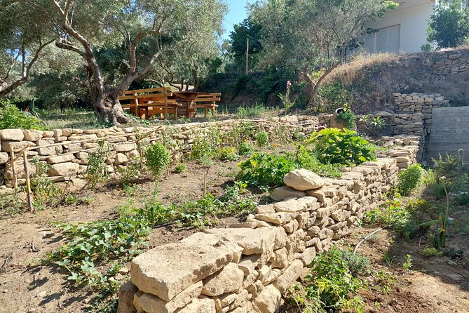 Wine Tasting: Meet the Cretan Vineyard at West Chania - Accessibility and Participation