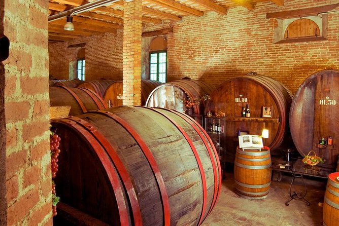 Wine Tour and Tasting at Le Marches Oldest Wine Estate - Exploring the Original Wine Cellar