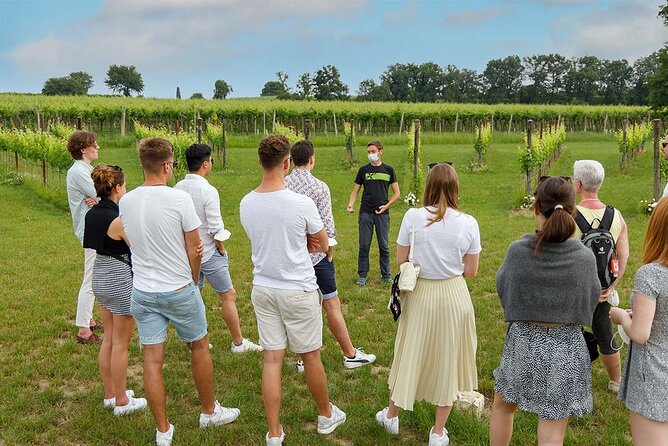 Winery Tour and Tasting of Garda Wines in Lazise - Tasting the Garda Wines