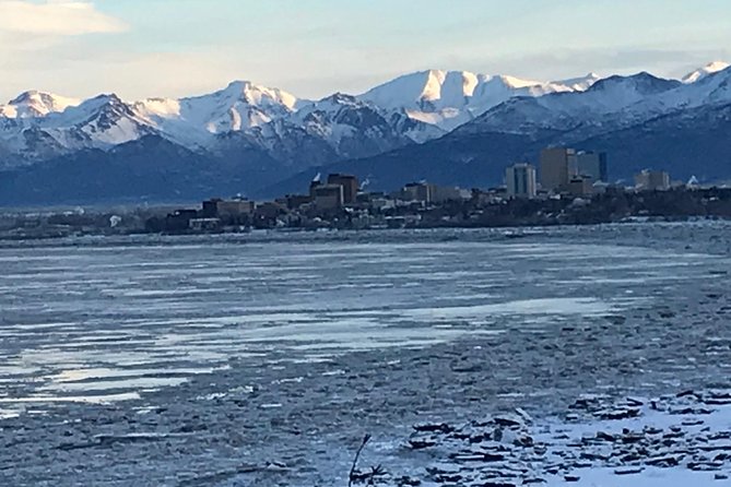 Winter - Anchorage All Around City Tour - Transportation and Group Size