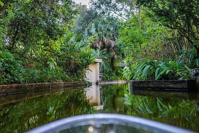 Winter Park Chain of Lakes Day Time Clear Kayak Paddle - The Experience: What You Can Expect