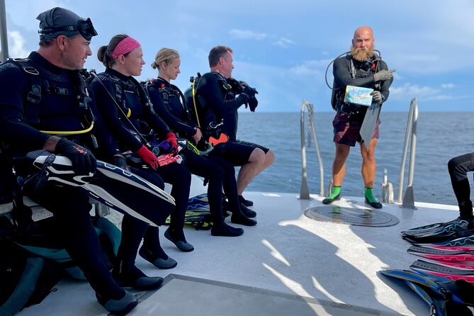Wreck and Bridge Span Dive for Certified Divers - Analyzing the Cost and Value