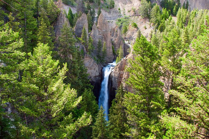 Yellowstone Full Day Private Tour - Winter Tours and Special Considerations