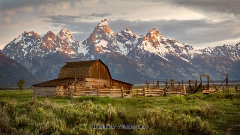 Yellowstone & Grand Tetons: 4-Day/3-Night Wildlife Adventure - What Travelers Can Expect