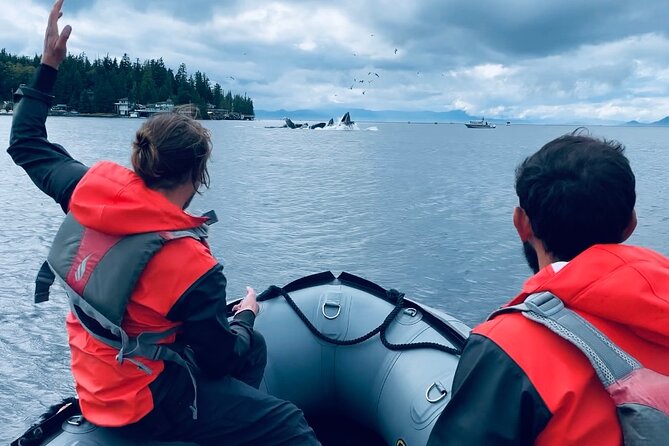 Zodiac Fast Boat Adventure - Who Might Want to Consider Other Options?