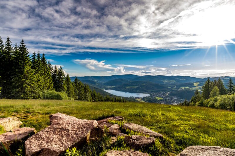 Zurich: Black Forest, Titisee, and Rhine Falls Bus Day Trip - Itinerary Highlights
