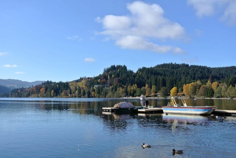 Zürich/Lucerne: Rhine Falls, Titisee & Black Forest Day Trip - Exploring the Majestic Rhine Falls
