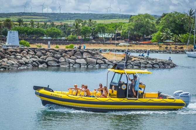 1.5 -Hour Guided Whale and Marine Life Tour - Meeting and Check-in Details