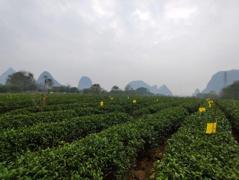 1-Day Terracotta Warriors Tour from Beijing/Chengdu/Shanghai - Who Will Love This Tour?