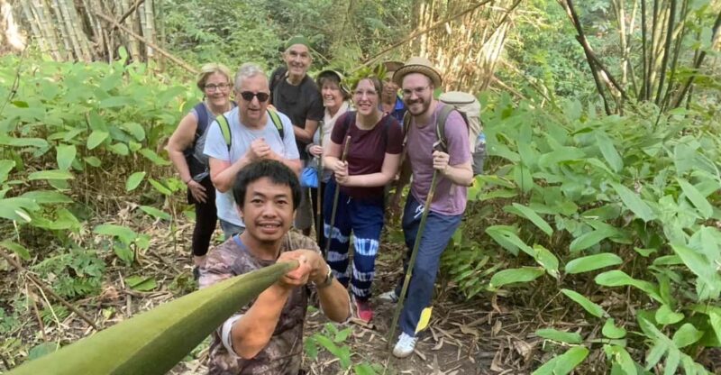 1 Day trekking : Chiang Rai popular activity,Fun in Nature. - Practical Tips for Making the Most of Your Day
