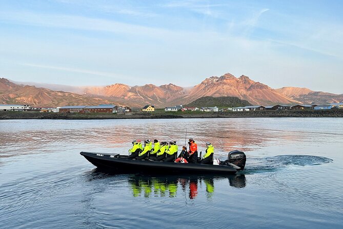 1 Hour Iceland Nature and Wildlife RIB Small Group Guided Safari - Captivating Coastal Scenery