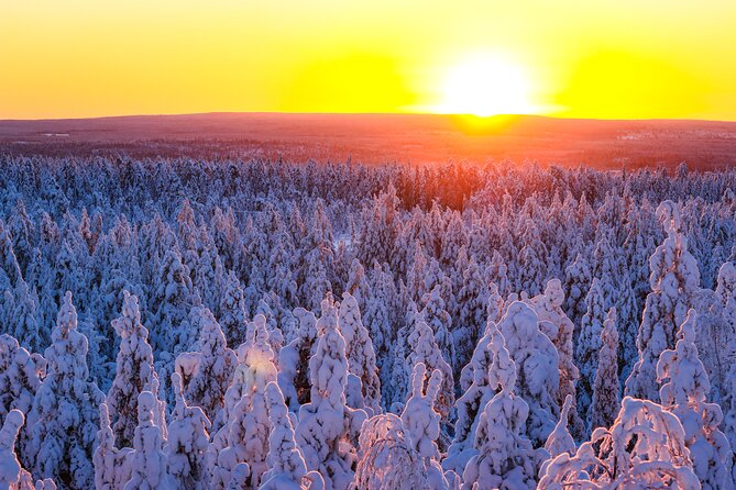 1-Hour Snowmobile Safari Adventure in Rovaniemi - Traveler Reviews and Recommendations
