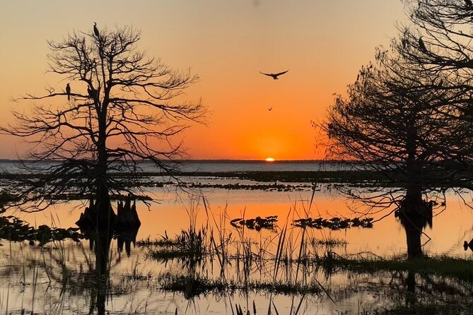 1-Hour Sunset Airboat Ride Near Orlando - Wildlife Sightings