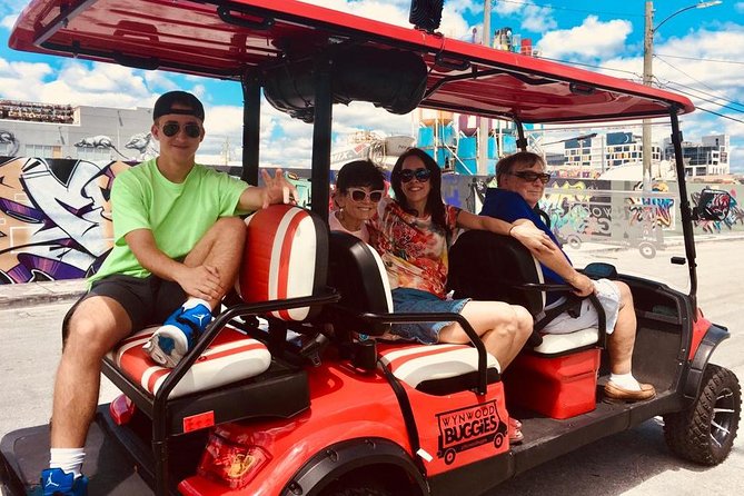 1 Hour WYNWOOD BUGGIES tour - The Itinerary Breakdown