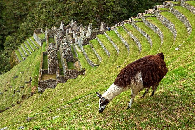 2 Day - Short Inca Trail to Machu Picchu - Private Services - Pricing