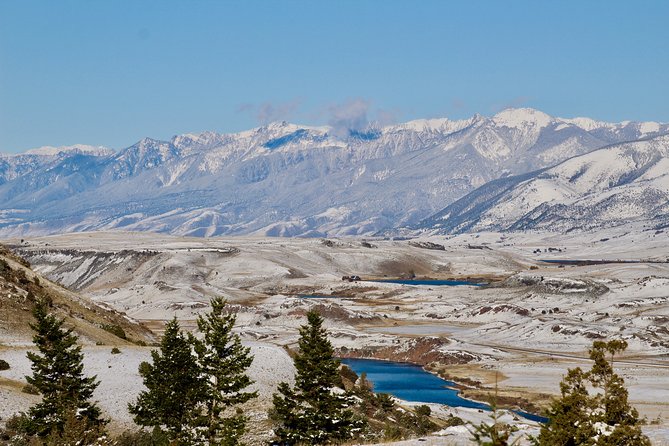 2-Day Yellowstone National Park Upper and Lower Loop Exploration - Customer Reviews and Experiences