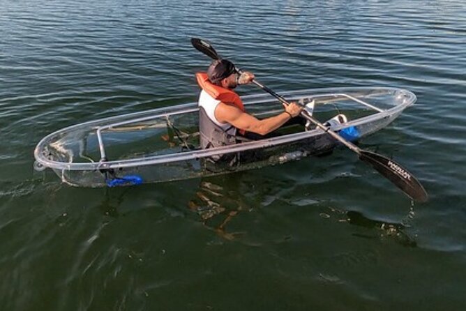 2-Hour Clear Kayak & Clear Paddleboard(SUP) Rental in Orlando - The Value for Your Money