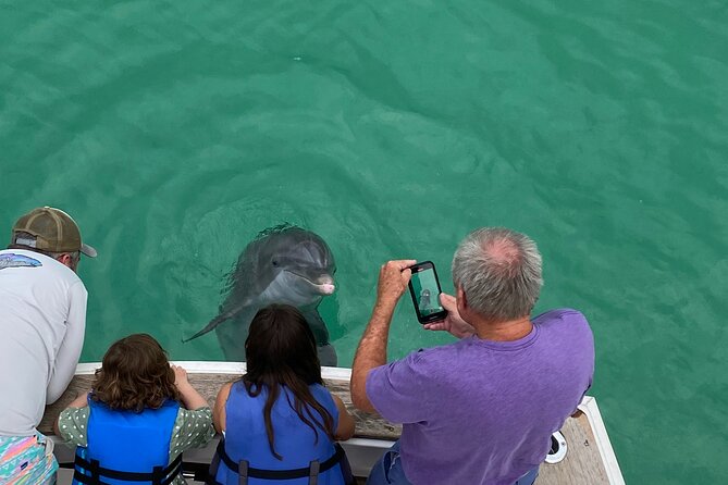 2 Hour Private Dolphin Sightseeing Tour - Real Experiences from Travelers