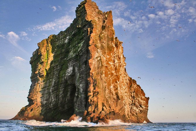 2 Hour Round Trip in Vestmannaeyjar on a RIB Boat - Participation Requirements