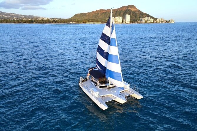 2 Hour Waikiki Whale Watching in Honolulu - Meeting Point and Important Information