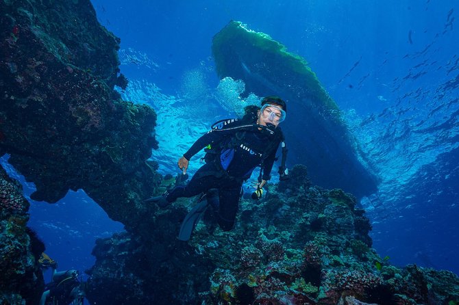 2 Tank Lanai Cathedral Scuba Dive Via Boat for Certified Divers - Value and Overall Experience