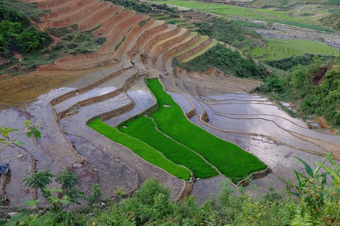2D1N Buffalo trek by Hmong Sister House and Trekking - Authenticity and Cultural Insights