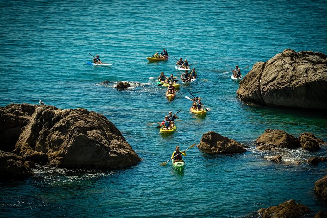 3 Hour of Sea Kayak Trip in the Creeks of Sete - Meeting Point and Logistics