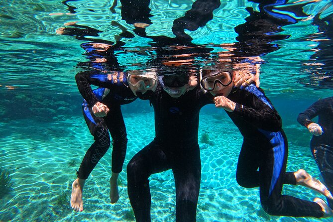 3 hours Manatee Swim Tour in Florida - The Sum Up: Is This Tour Right for You?