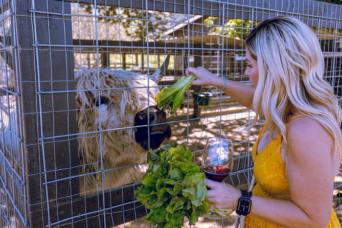 3-Winery Tour Includes Tastings & Lunch in Santa Ynez From Citysb - Pricing and Cancellation Policy
