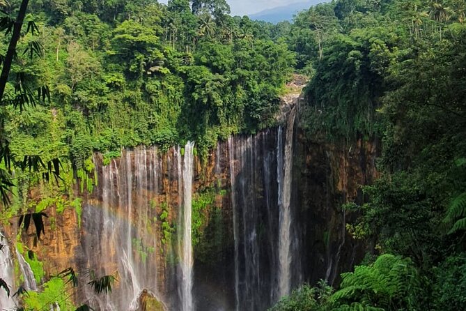 3Days - Tumpaksewu Bromo Ijen Adventure via Malang - Final Thoughts: Is This Tour Right for You?