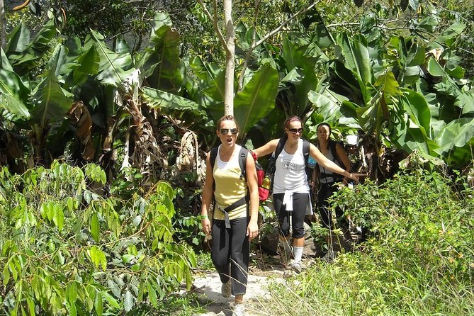 4 Days Inca Jungle to Machu Picchu Standard - Meals Included