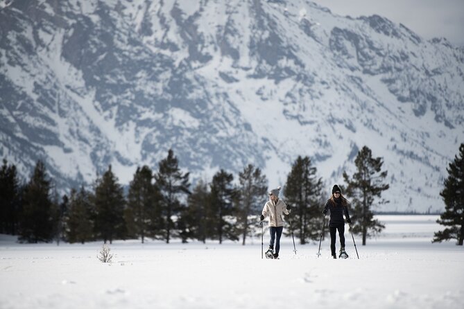 4 Hour Snowshoe in Grand Teton National Park - What to Expect During the Tour