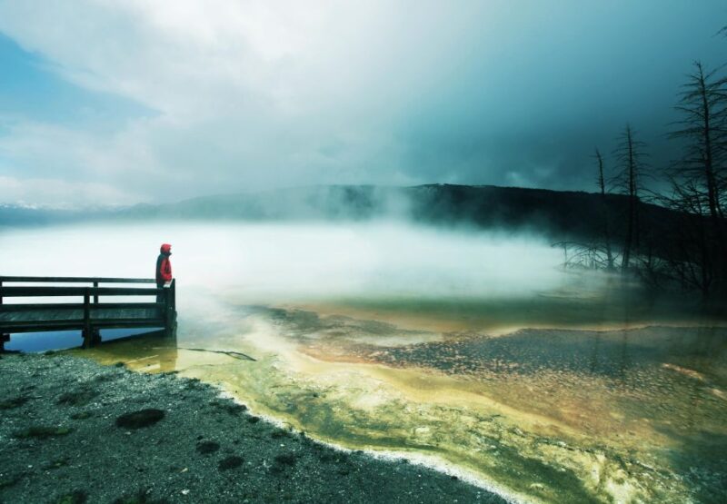 5-Day Winter Yellowstone Wildlife Tour - Who This Tour Is Best Suited For