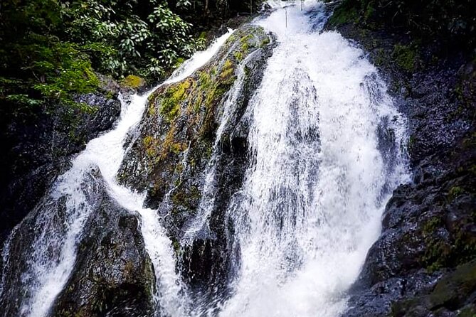 5 Hour Off-Road ATV+ Zipline+ Waterfall Rappelling+ Tractor Jungle Tour - Inclusions, Logistics, and Meeting Point