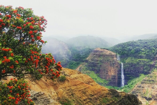 6-7 Hours Private Kauai's Hidden Gems Experience with Snacks - Authentic Experiences and the Guide’s Role