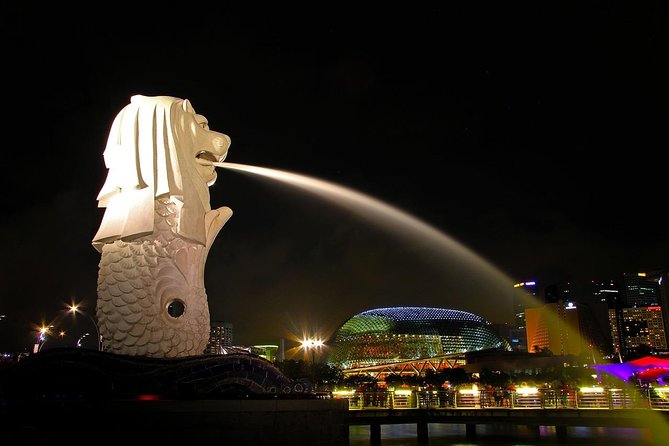 6-Hours Singapore Tour in Private Car or Minibus with Driver - The Real Stories: Insights from Other Travelers