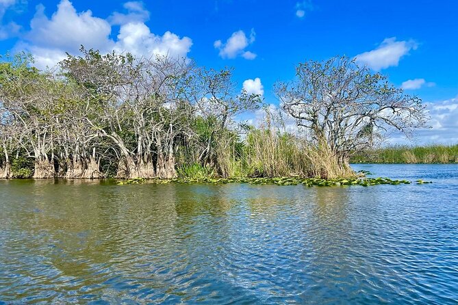 60 min. Everglades Airboat ride & pick-up ,small group +pro guide - Authentic, Educational, and Fun